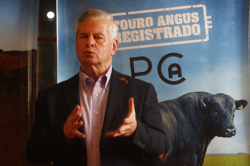 Com menos animais, Angus prevê faturar R$ 2 milhões na Expointer