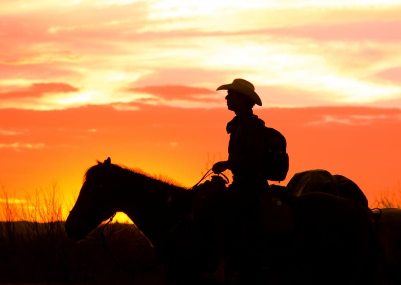 A epopeia de um caubói I