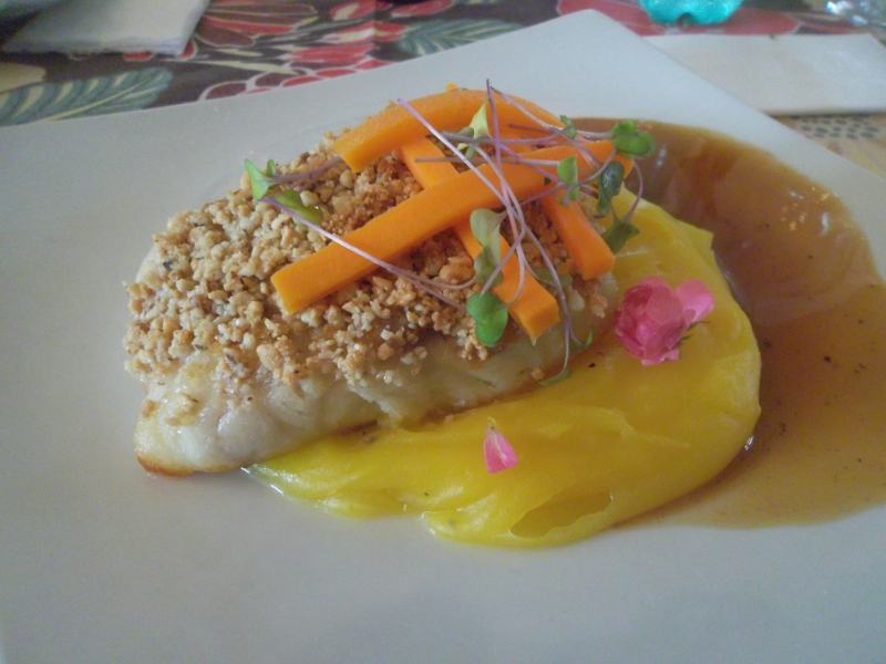 Dois certos filés de congro