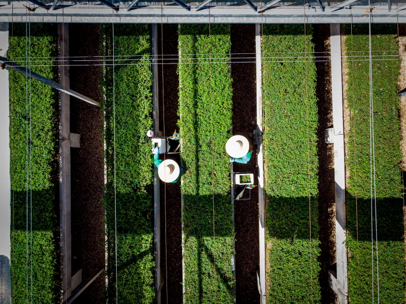 Estado aprova incentivos de R$ 79,2 milhões entre Fundopem e Proedi