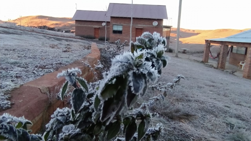 Geada deve marcar presença da Campanha a regiões mais altas do RS