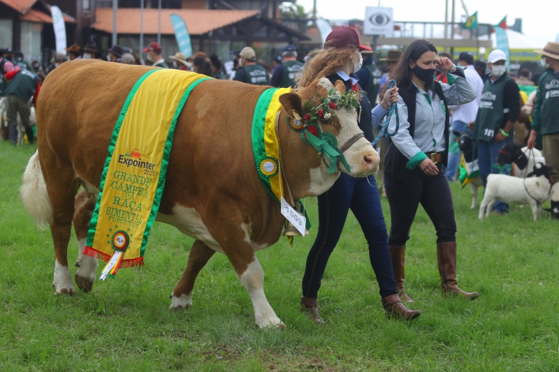 Expointer 2023 será lançada oficialmente nesta quinta-feira