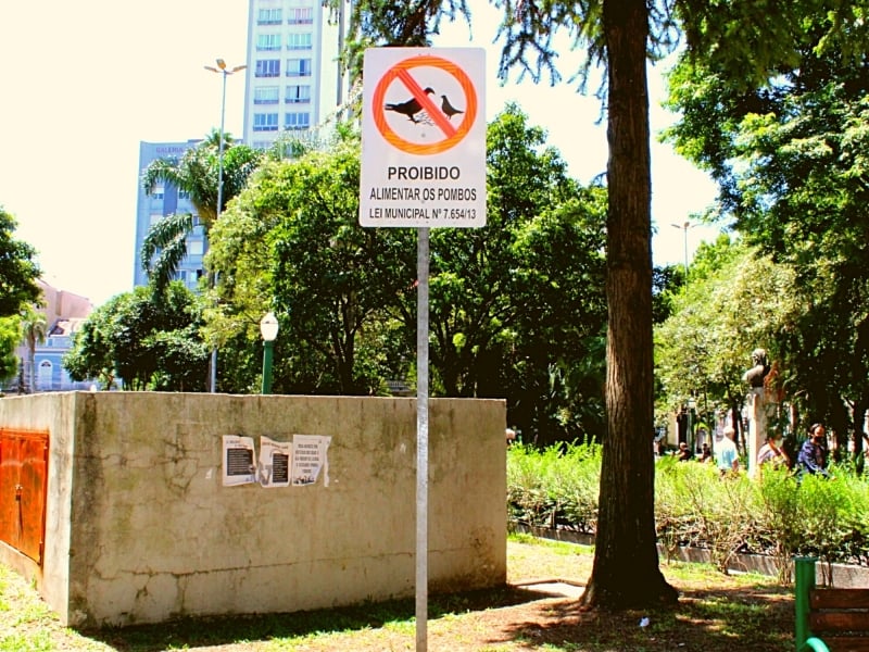 Caxias do Sul instala novas placas sobre proibição da alimentação de pombos