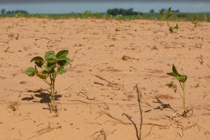 Seca deve causar maior impacto na economia gaúcha no segundo trimestre