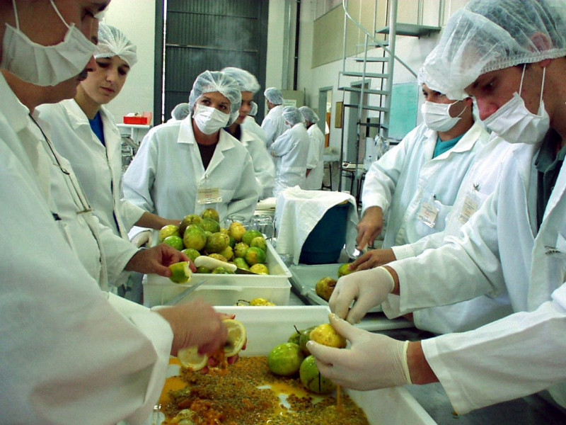 Emater/RS-Ascar estima que a cada dois dias úteis uma agroindústria é formalizada no RS