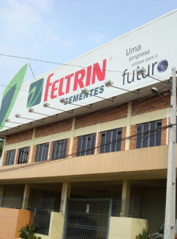 Syngenta assume controle da Feltrin Sementes