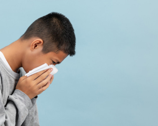 Rinite e asma são as alergias respiratórias mais comuns no Brasil