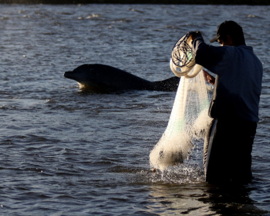 Transpetro investe em projeto de pesca cooperativa entre pescadores e ...