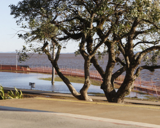 Guaíba já atingiu ápice da cheia, mas nível seguirá elevado, diz IPH